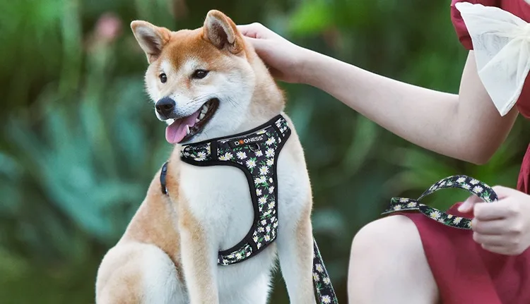 Dogness Custom Tactical Luxury No Pull Design Pet Dog Leash And Harness ...