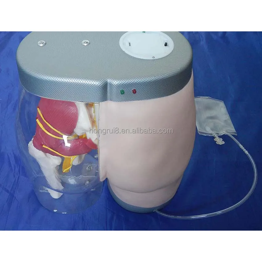 Buttocks Intramuscular Injection Model - Hip Injection Training