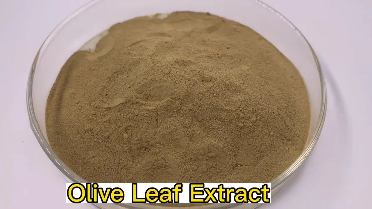 Hongda Supply High Quality Olive Leaves Extract Olive Leaf Extract 40% ...