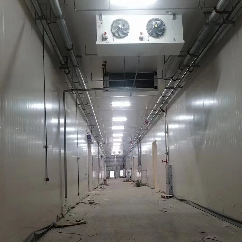 Easy Installation Cold Storage - Solar Power & Efficiency