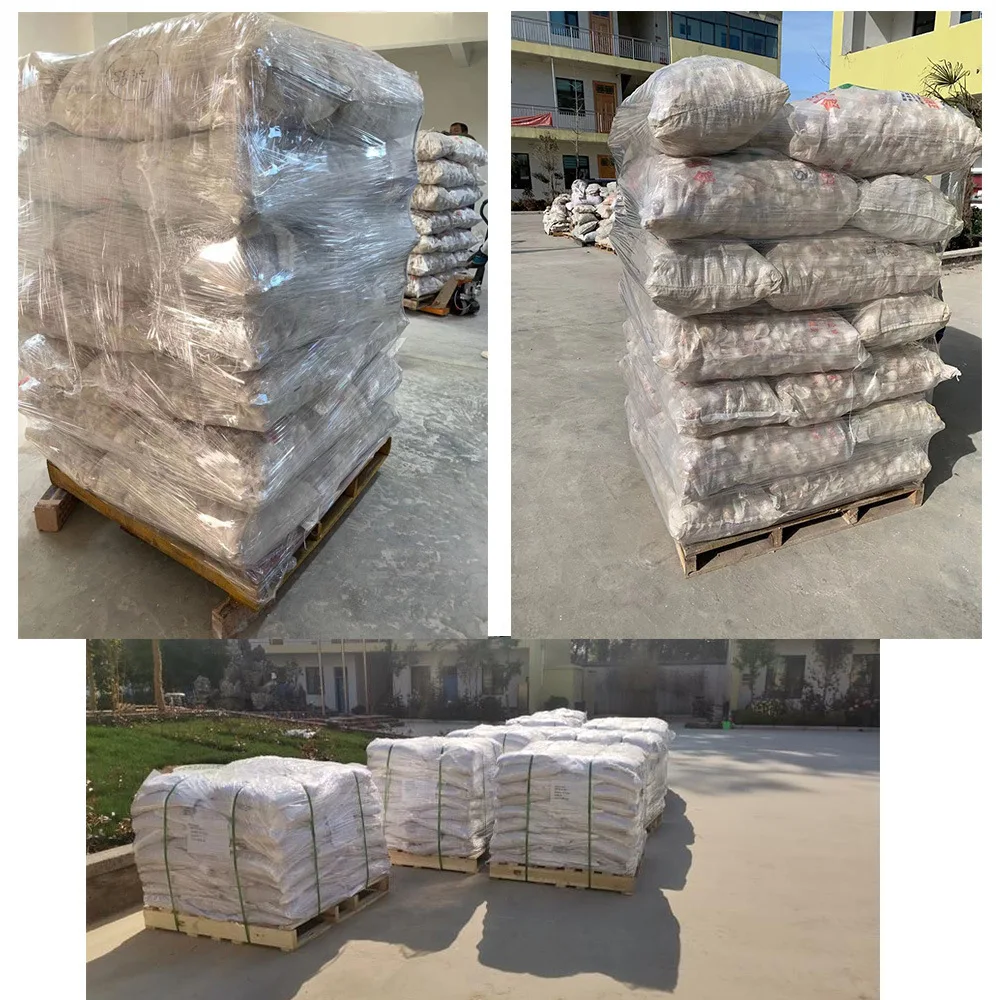 Shellfish Hell - Unique Seashell Decoratives from Europe