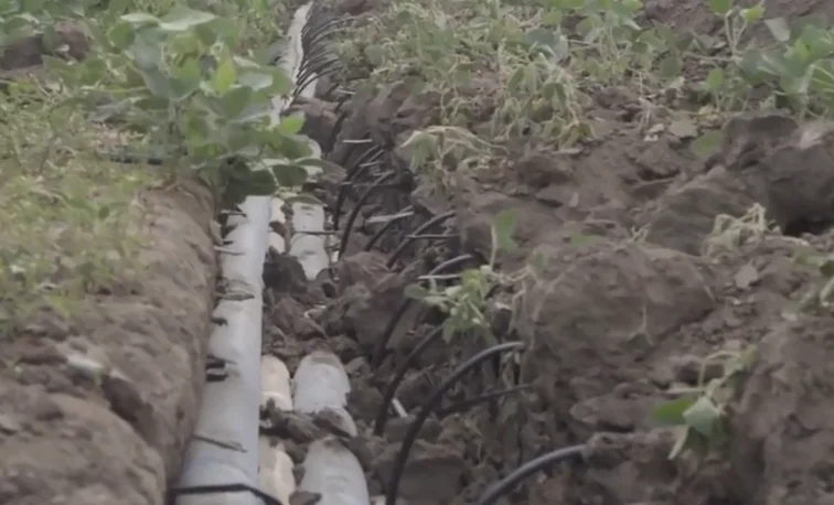 Buried Drip Tape 40cm Subsurface Drip Tape Underground Drip Irrigation ...