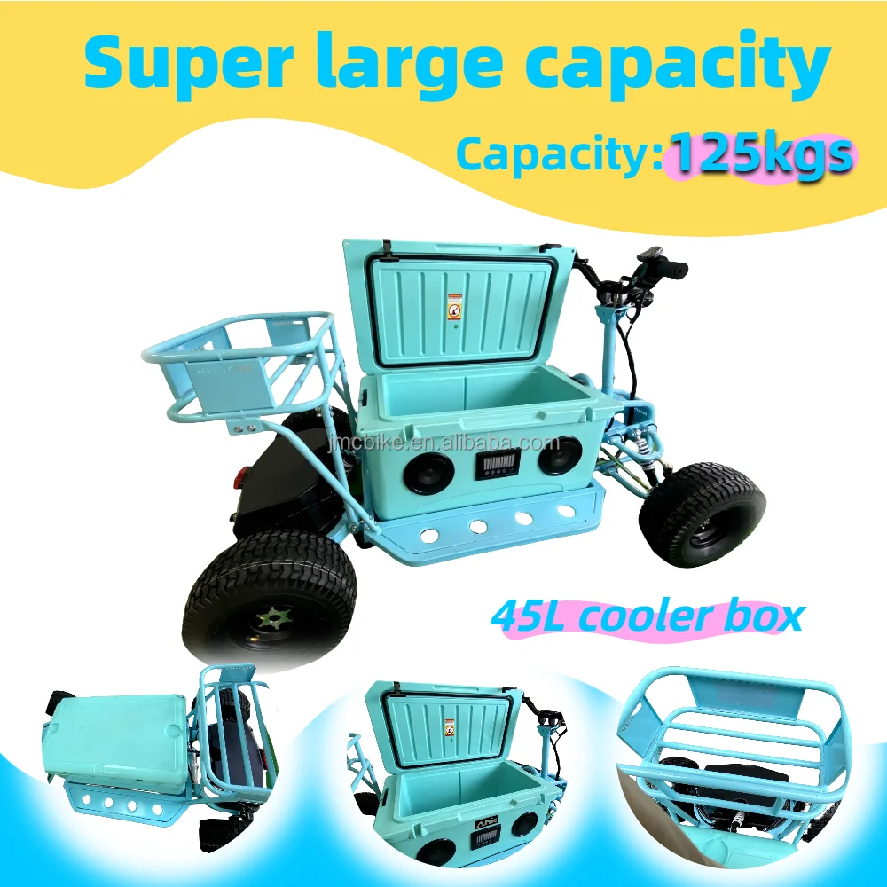48V 2000W Adult Motorized Cooler Scooter - off Road Fun