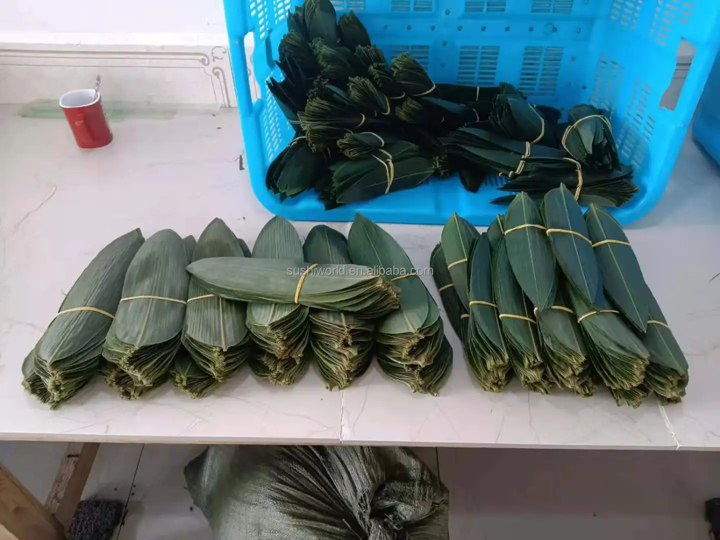 Wholesale Natural Sushi HOBA Fresh Bamboo Leaves