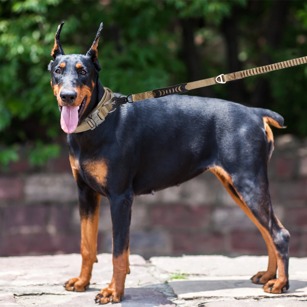 Custom Dog Lead Collar With Logo Adjustable Quick Release Metal Buckle ...