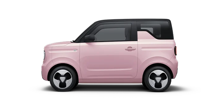 Ev Car 2024 Geely Geome Panda Electric Car Geely Panda Mini 120km Asian ...
