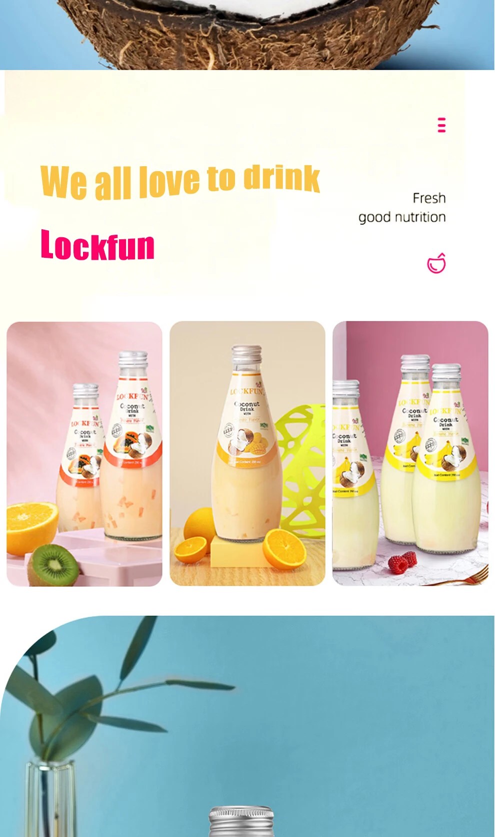 Lockfun Coconut Milk Drink Coconut Juice Drink Containing Coconut Water ...