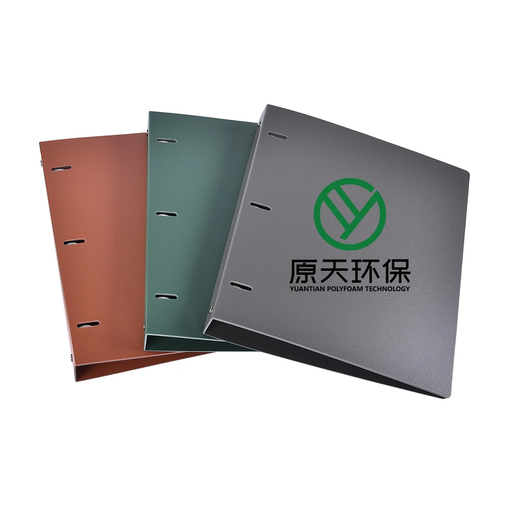 Wholesale Office Colorful A4 Size Loose Leaf File Folder Pp Foam Board ...