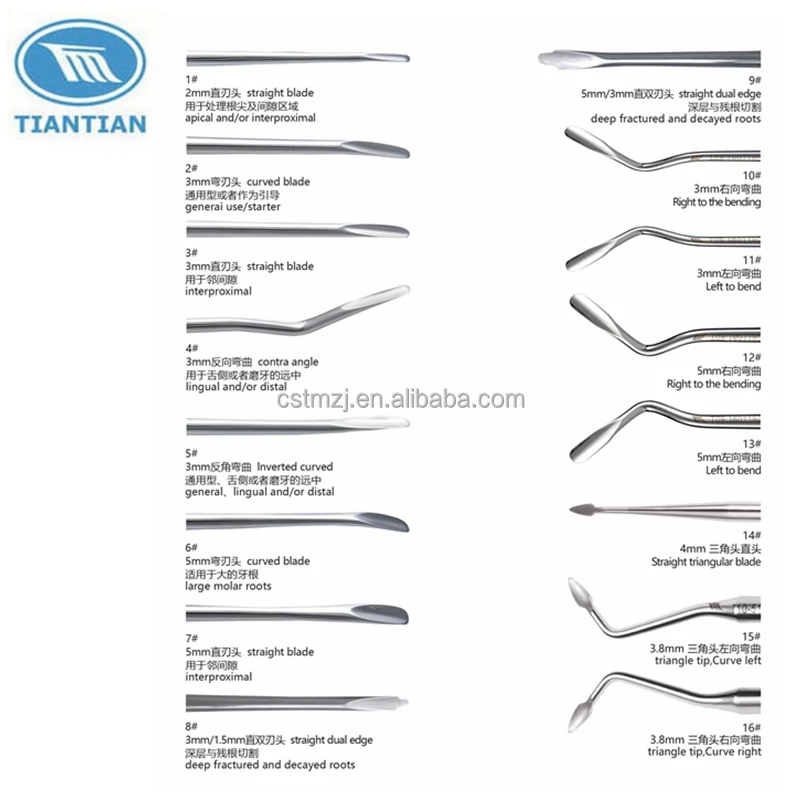 Dental Extraction Elevator - Surgical Tooth Removal Tools