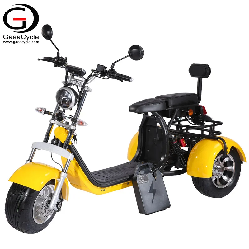 Gaea 3 Wheel Electric Scooter City Coco 1000w 1200w With Fat Tire - Buy 3 Ruote Scooter ...