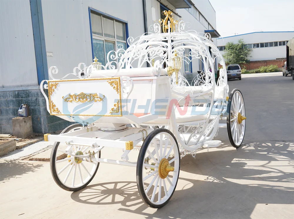 High Quality Assurance Electric Wedding Pumpkin Carriage Sightseeing ...