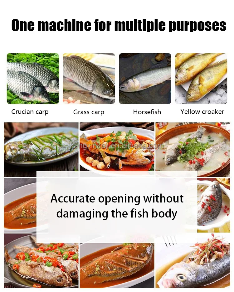 Best Quality Fillet Processing Viscera Removing Fish Scaling Machine ...