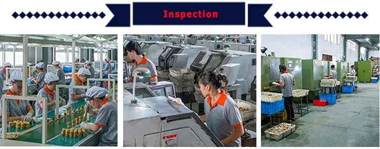 Fire Protection System Fire Sprinkler System Fire Fighting Pipes ...