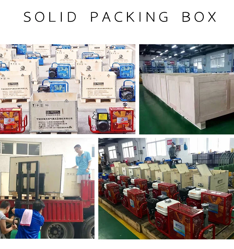 Air Compressor 4500psi Electric Motor Italy Coltri Mch6 Mch13 Mch16 ...