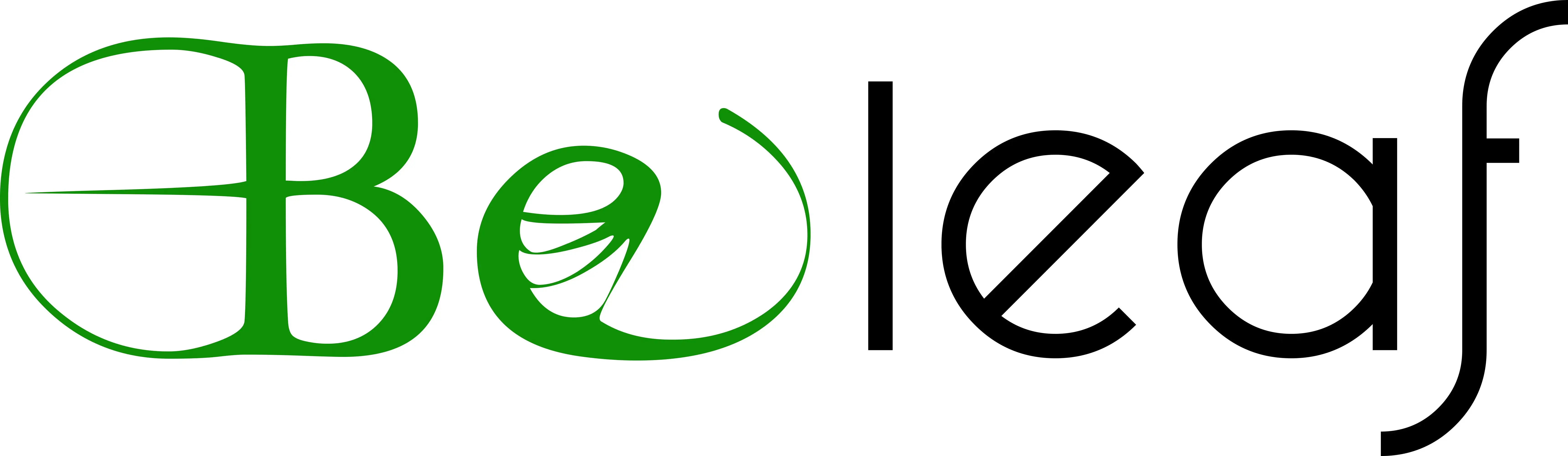 Company Overview - Shenzhen Beleaf Technology Co., Ltd.