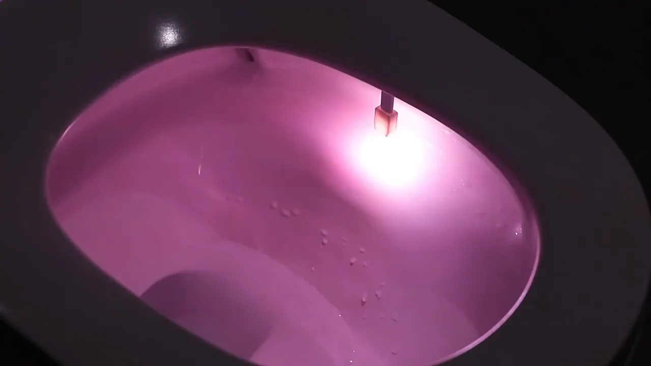 Led Toilet Light Night Lamp Pir Motion Sensor 16 Colors Changeable Wc ...