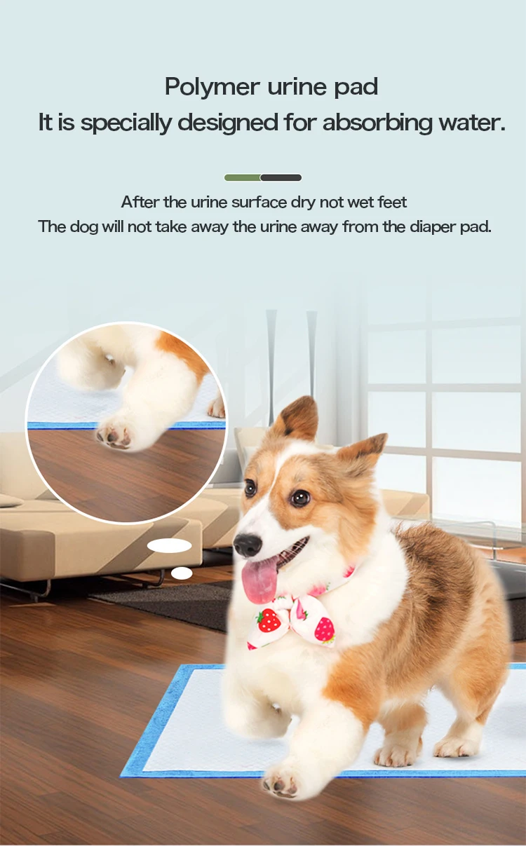 Dog Diaper 100 Deodorant Pad Teddy Diaper Pet Diaper Dog Pee Mat Pad ...