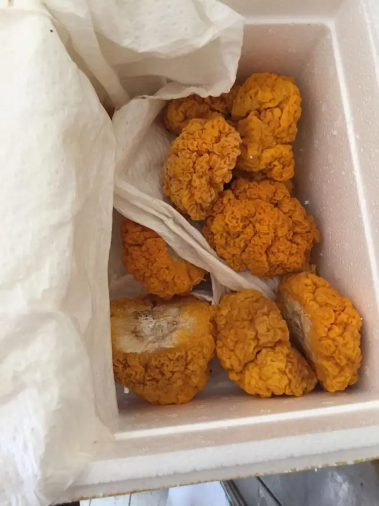 Detan Fresh Tremella Aurantialba Golden Fungus Mushroom - Buy Fresh ...