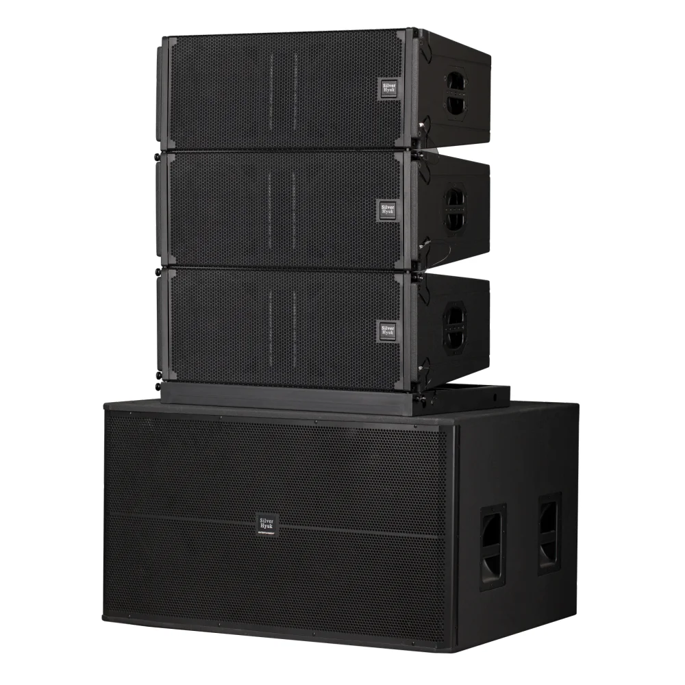 Vtx102 600w Dual 10 Inch Two Way Passive Line Array Speaker For Bar And Performance - Buy Dual ...