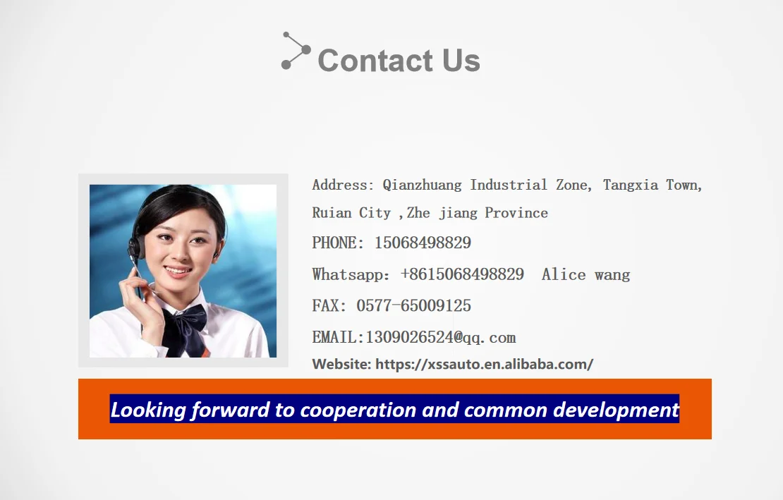 Stainless Steel Roller Chain Transmission Chain Assembly Machine ...