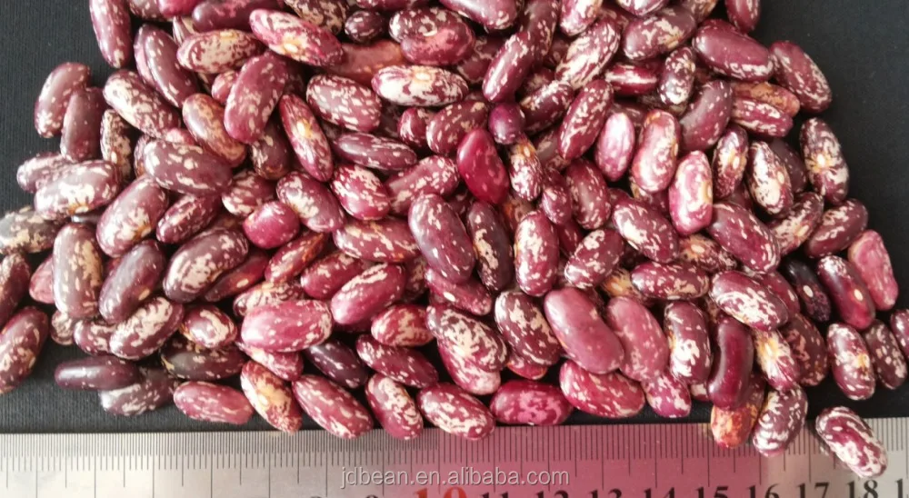 Alibaba.com: Wholesale dried organic pinto beans, red speckled kidney ...