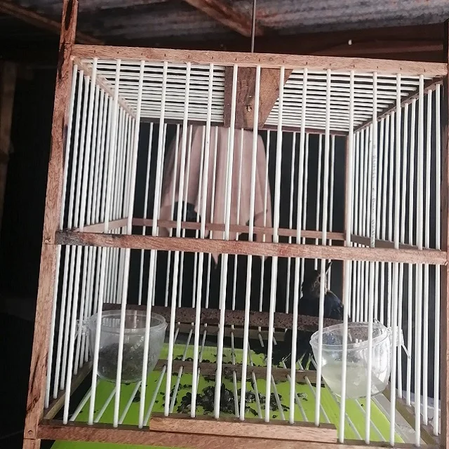 SU FRP Rebar - High Strength Fiberglass Reinforced Plastic