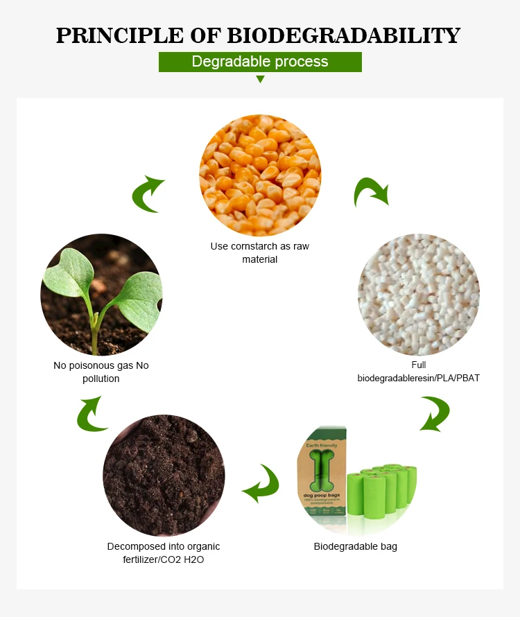 Biodegradable Zipper Bags - Sustainable Packaging Solutions