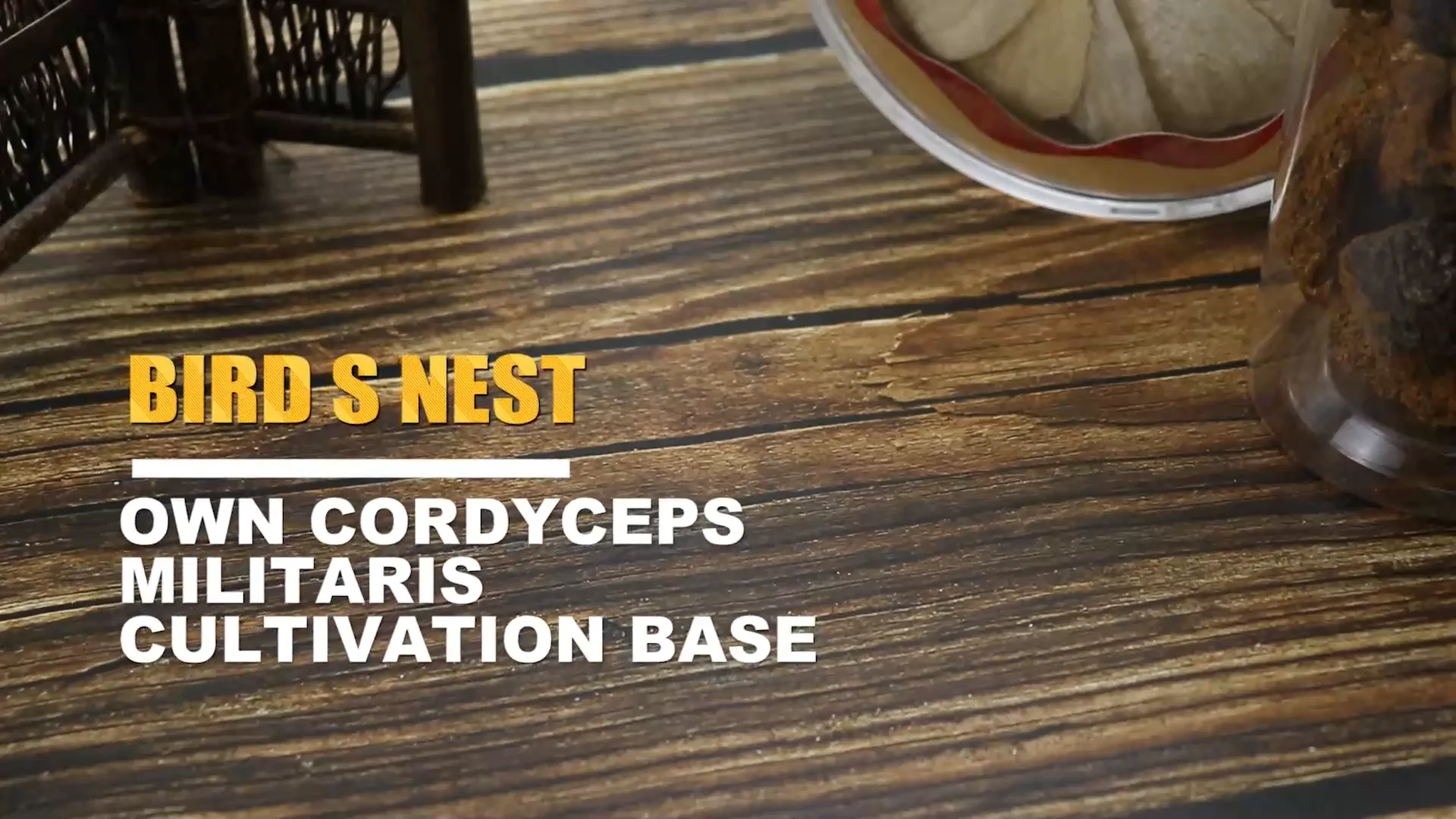 Wholesale Dry Bird Nest Corner Edible Customized Birdnest Swallow Bird ...