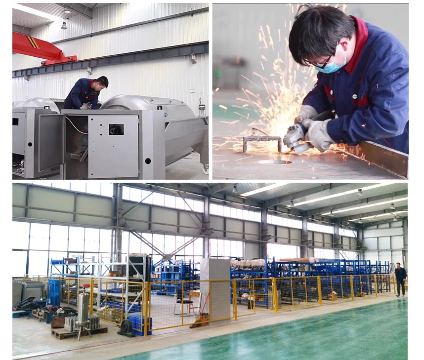 Fully Automated Industrial Mango Processing Production Line Mango ...