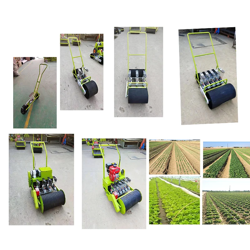 Single Row Manual Vegetable Seeder Hand Operated Garden Tool for ...