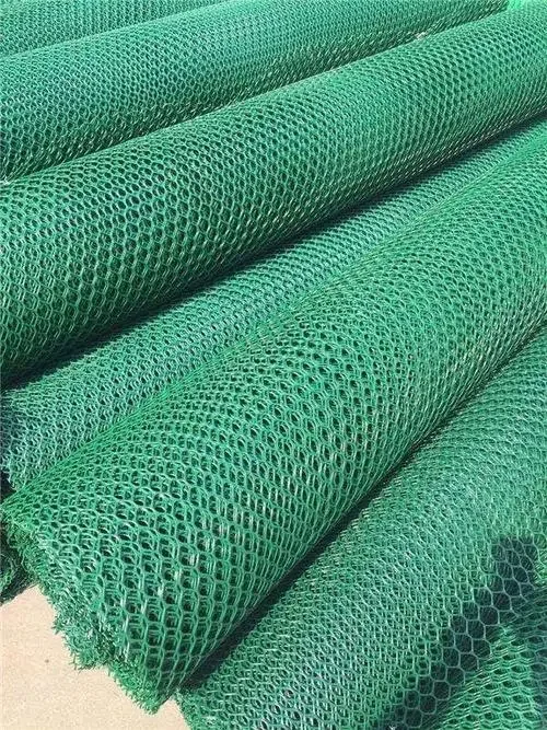 HDPE Geonet Reinforcement Plastic Meshes for Slope Protection