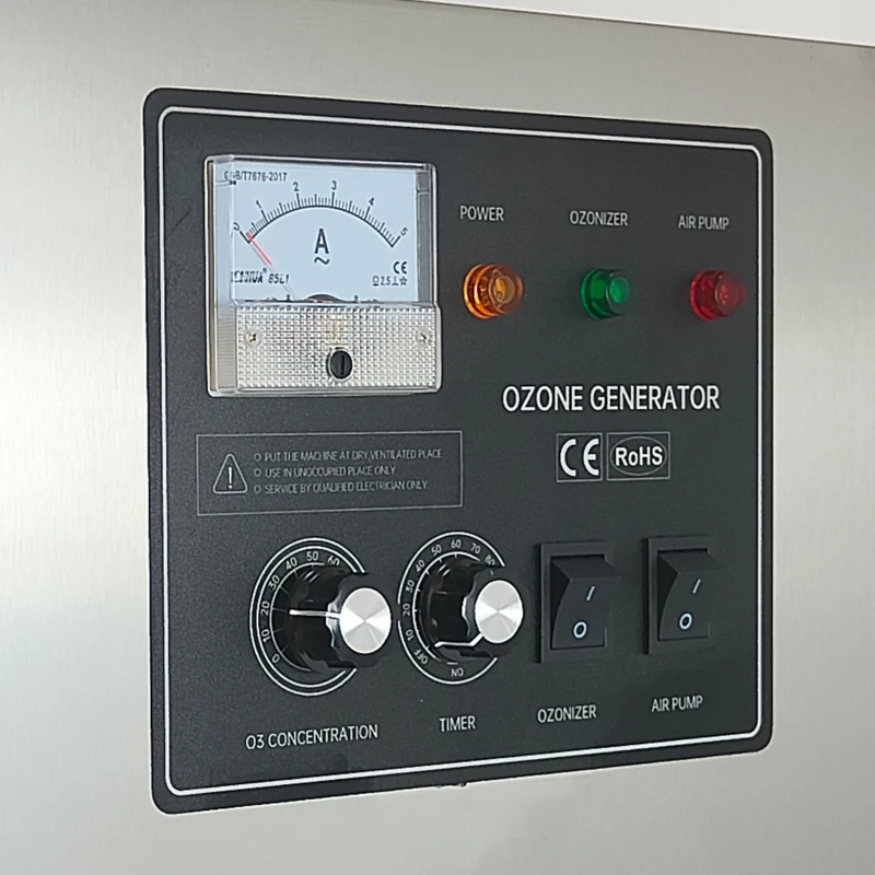 New Design 110v 220v Air Feeding 20g Ozone Generator For Water - Buy ...