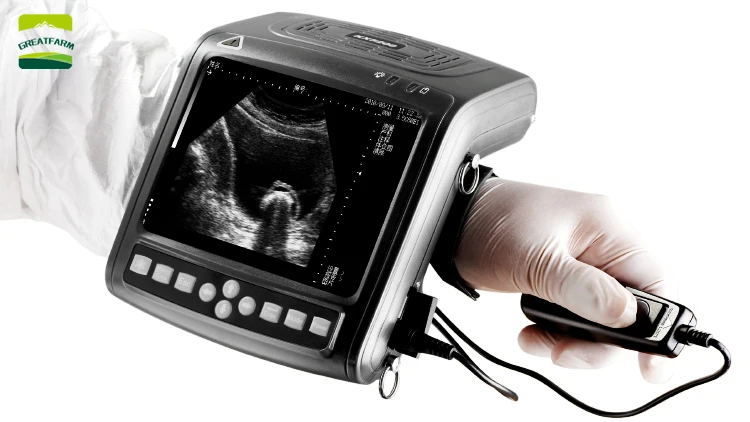COW Sonar Scanner - Reliable Ultrasound for Pregnancy Testing