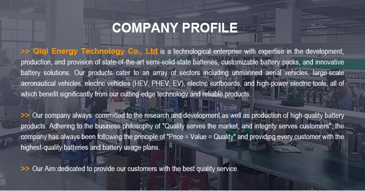 High Energy Density Lithium Polymer Battery for Rechargeable Aeromodels ...