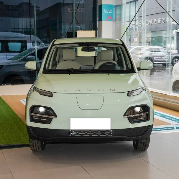 2023 Ev Car Dayun Yuehu 5-door 5-seat Suv Range 300km Electric Car New ...