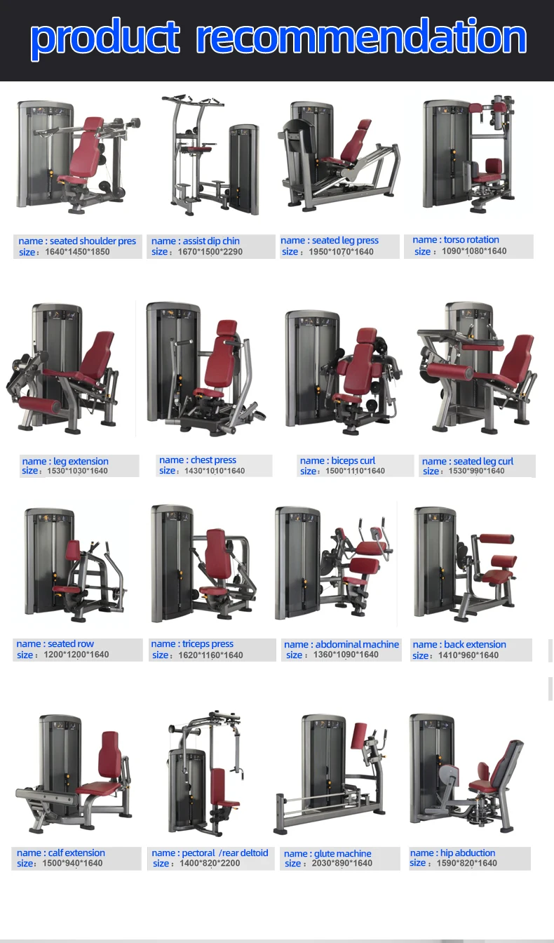 Horizontal Strength Extension Prone Stretching Leg Curl Exercise ...