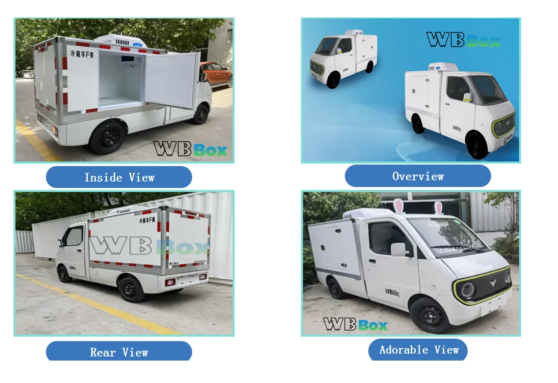 Fresh Food Milk Delivery Electric Regrigeration Van/Car/Vehicle for Ice ...