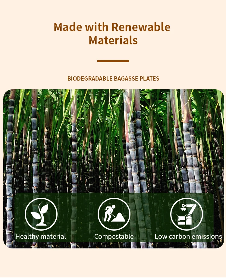 Disposable 9-inch Biodegradable Sugarcane Compost Pulp Board Disposable ...