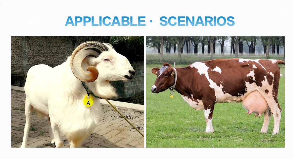 Reusable ID Tags for Cattle and Sheep - Flexible & Durable