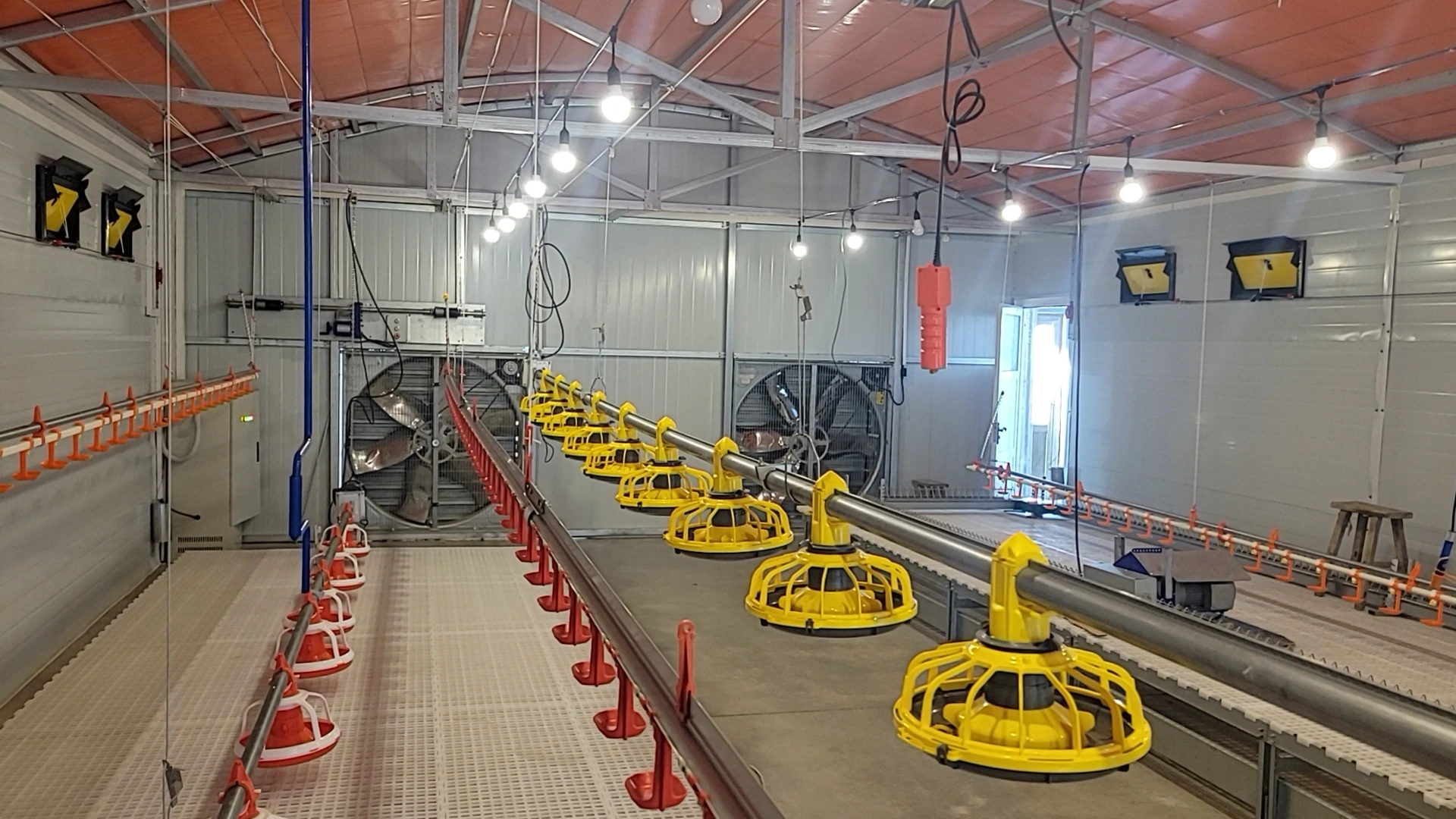 New Automatic Hot Dip Galvanized Poultry Feeding System ISO9001 ...