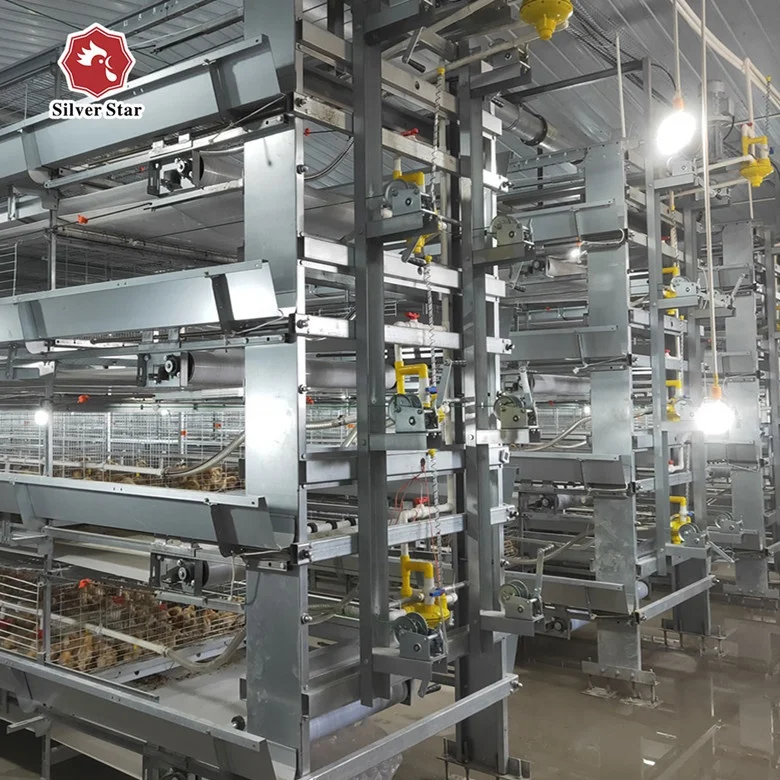 Broiler Poultry Farm House Design Folding Chicken Cage/multi-tier ...