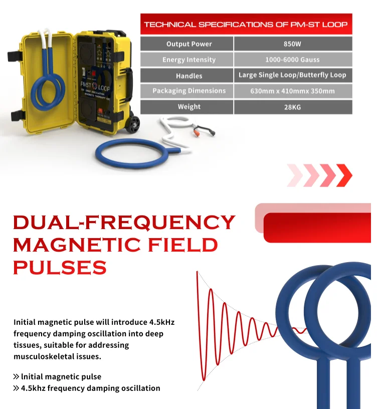 2024 Veterinary Equipments Pemf Horse Pmst Loop For Horse Pain ...