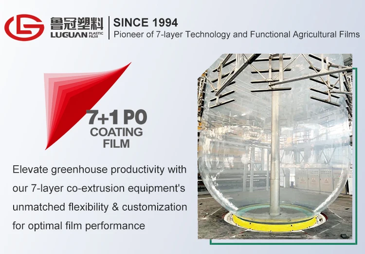 Durable Plastic Sheets for Greenhouses - UV Resistant PE Film