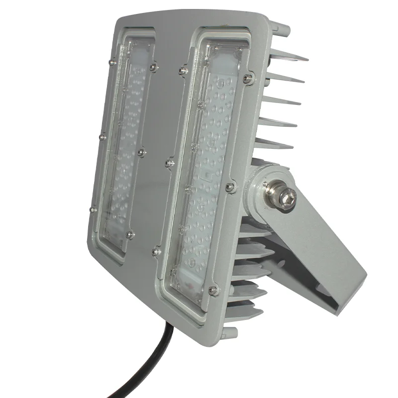 Modular 100w Atex Canopy Light Ii Ex D Iic T6 Explosion-proof Zone1 ...