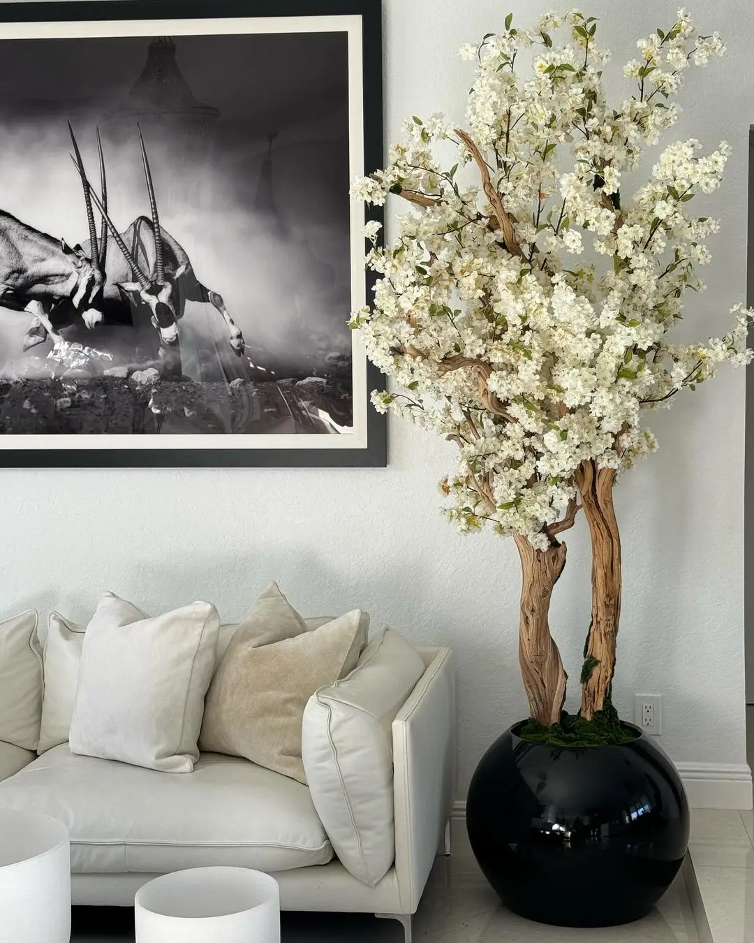 Tik Tok Youtube Instagram Hot Sale Custom Made Cherry Blossom Tree