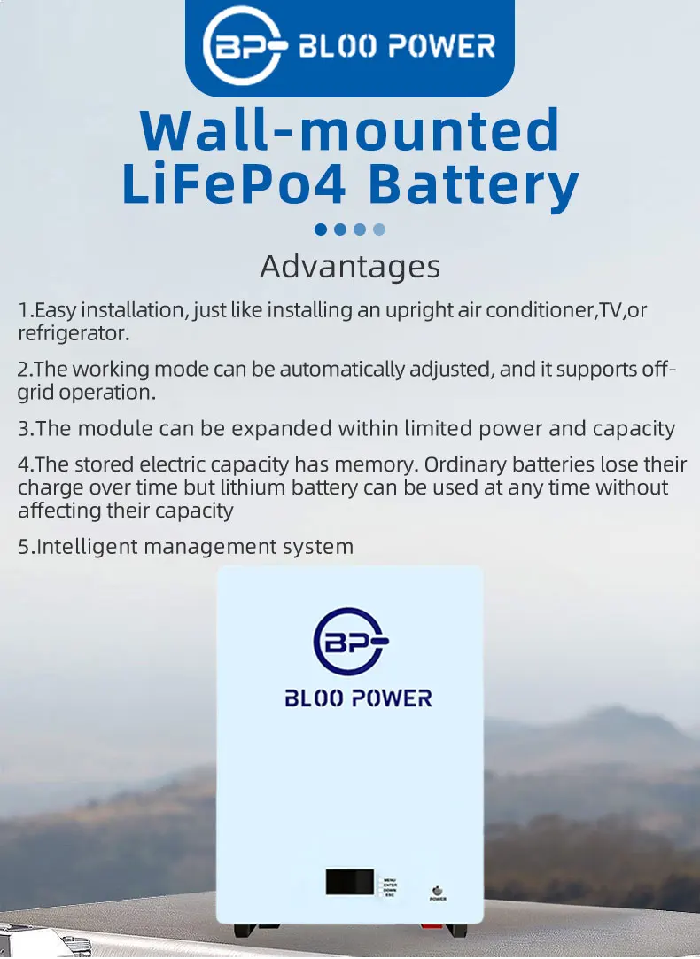 Bloo Power 10kwh 200ah 48v Wall Mount Home Lifepo4 Lithium Solar Energy ...