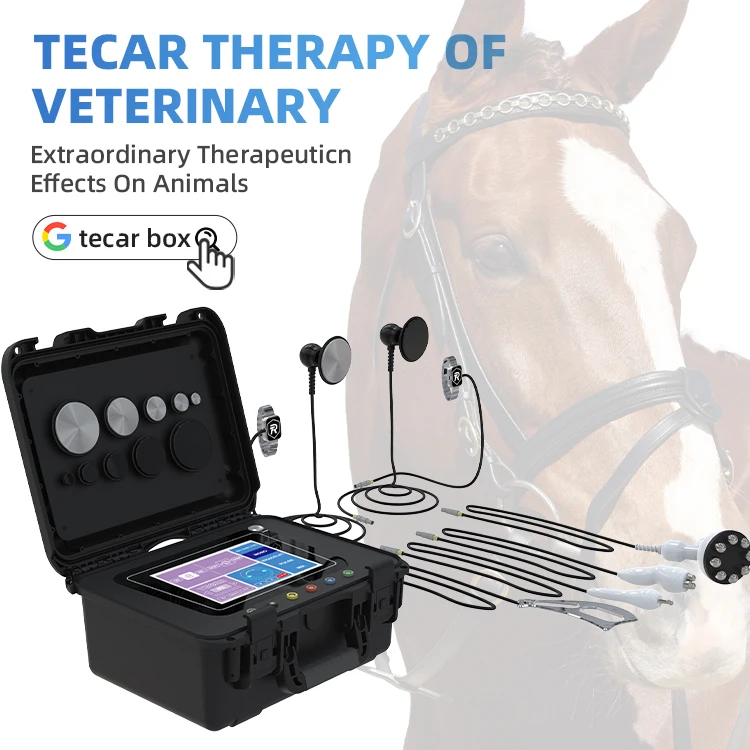 CET RET Tecar Therapy Machine - Equine Physiotherapy