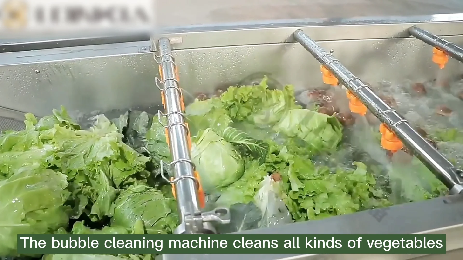 Full Automatic Vegetable Fruit Sorting Cutting Washing Drying Processing Line Fruit Vegetable ...