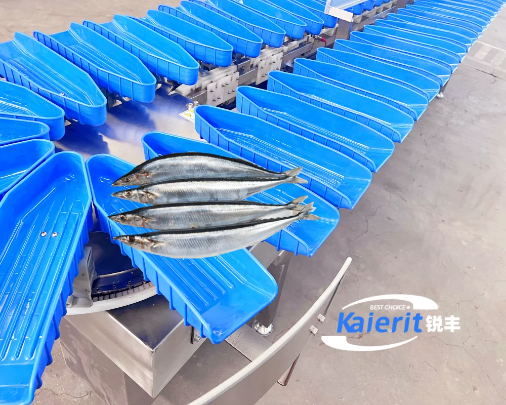 Wholesale Automatic Pomfret Fish Shrimp Seafood Grading Poultry Sorter ...