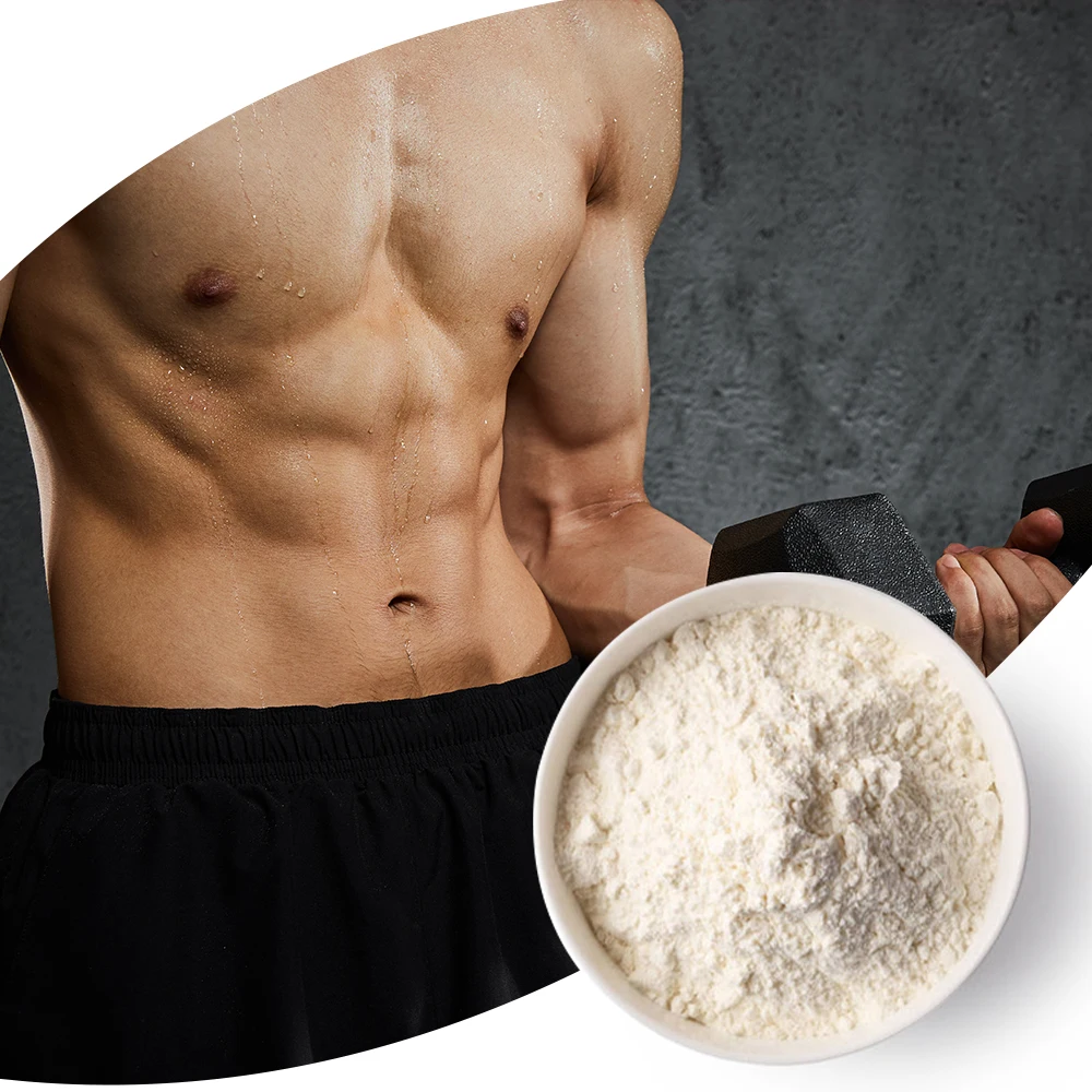 Food Grade Creatine Monohydrate 200 Mesh Creatine Monohydrate Powder ...